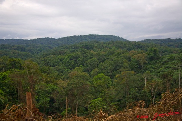 Le Massif du CHAILLU